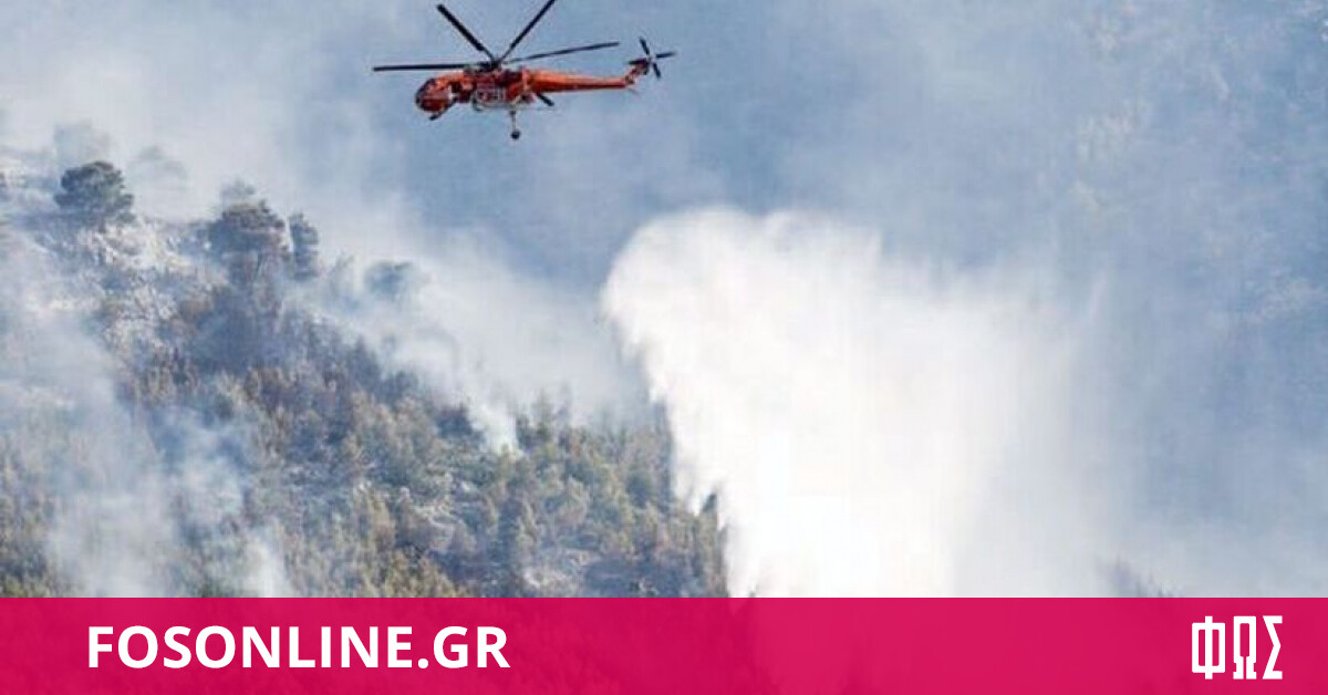 Φωτιά ξέσπασε στους Αγίους Θεοδώρους - Fosonline