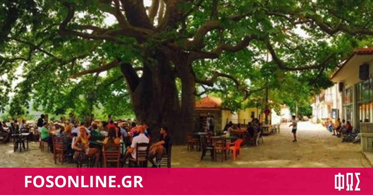 Άρνα: Στις πλαγιές του Ταϋγέτου, με τον περίφημο πλάτανο των 2000 ετών ...