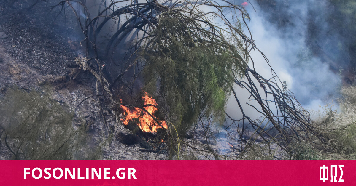 Πυρκαγιά σε εργοστάσιο στα Οινόφυτα - Fosonline