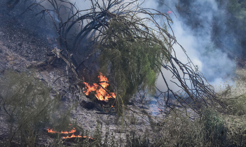 Πυρκαγιά σε εργοστάσιο στα Οινόφυτα - Fosonline