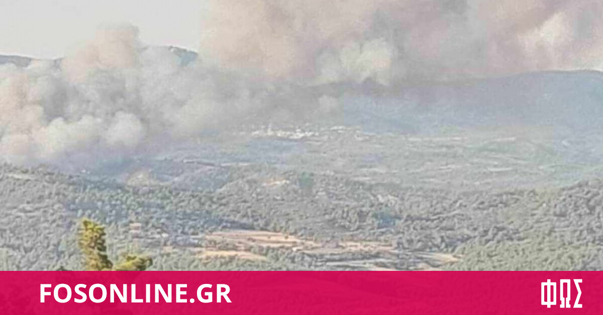Ρόδος: Φωτιά σε δασική έκταση στην περιοχή των Λαέρμων - Fosonline