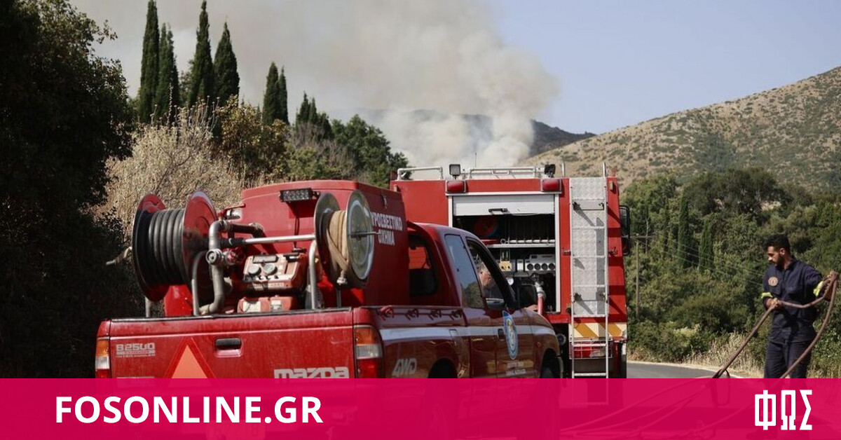 Φωτιά στη Θήβα - Συναγερμός στην Πυροσβεστική - Fosonline