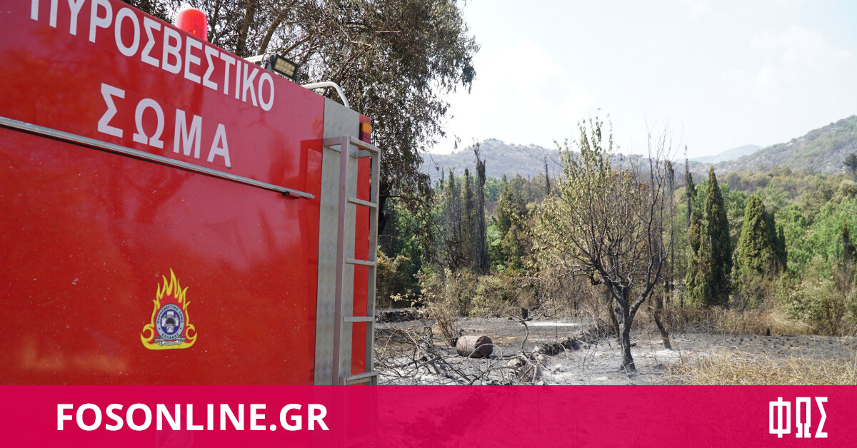 Φωτιά και στη Λαμία: Εκκενώθηκε οικισμός, ισχυρές δυνάμεις στο σημείο ...