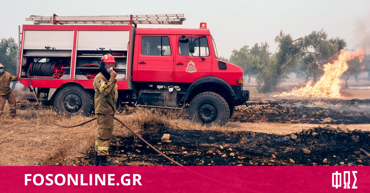 Καβάλα: Φωτιά στο Διαλεκτό - Τραυματίστηκαν δύο πυροσβέστες - Fosonline