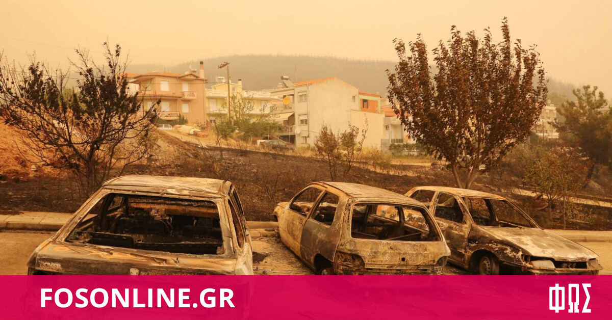 Παρέμβαση Αρείου Πάγου για Έβρο: Ερευνα για οργανωμένο σχέδιο εμπρησμών ...